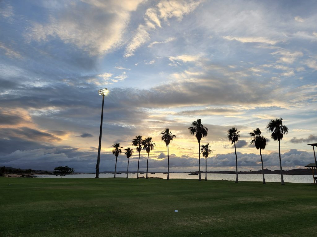 Dampier Sharks Reserves Win 2021 Premiership - Dampier Sharks Football Club