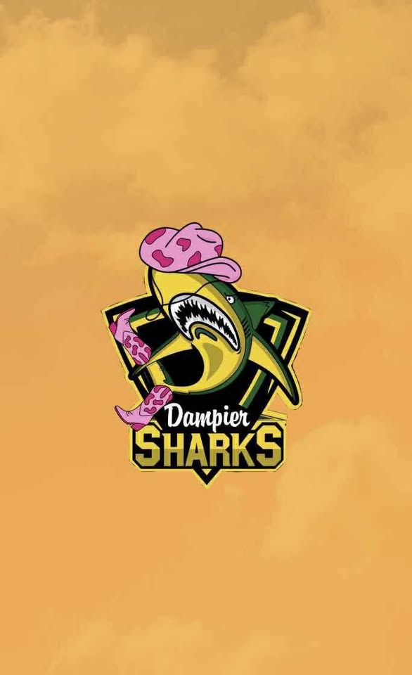 Dampier Sharks Social Night: BEER PONG RODEO - Dampier Sharks Football Club